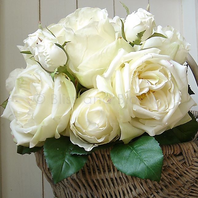 Rose hand tied bouquet | Bliss and Bloom