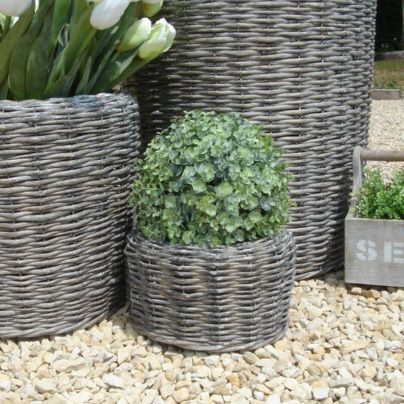 Small willow planter | Bliss and Bloom