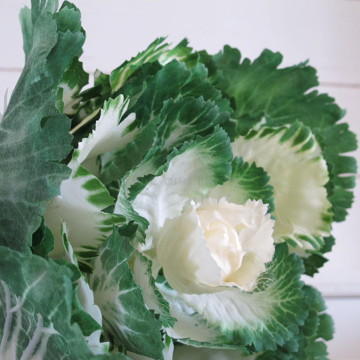 Green faux cabbage x 1 | Bliss and Bloom