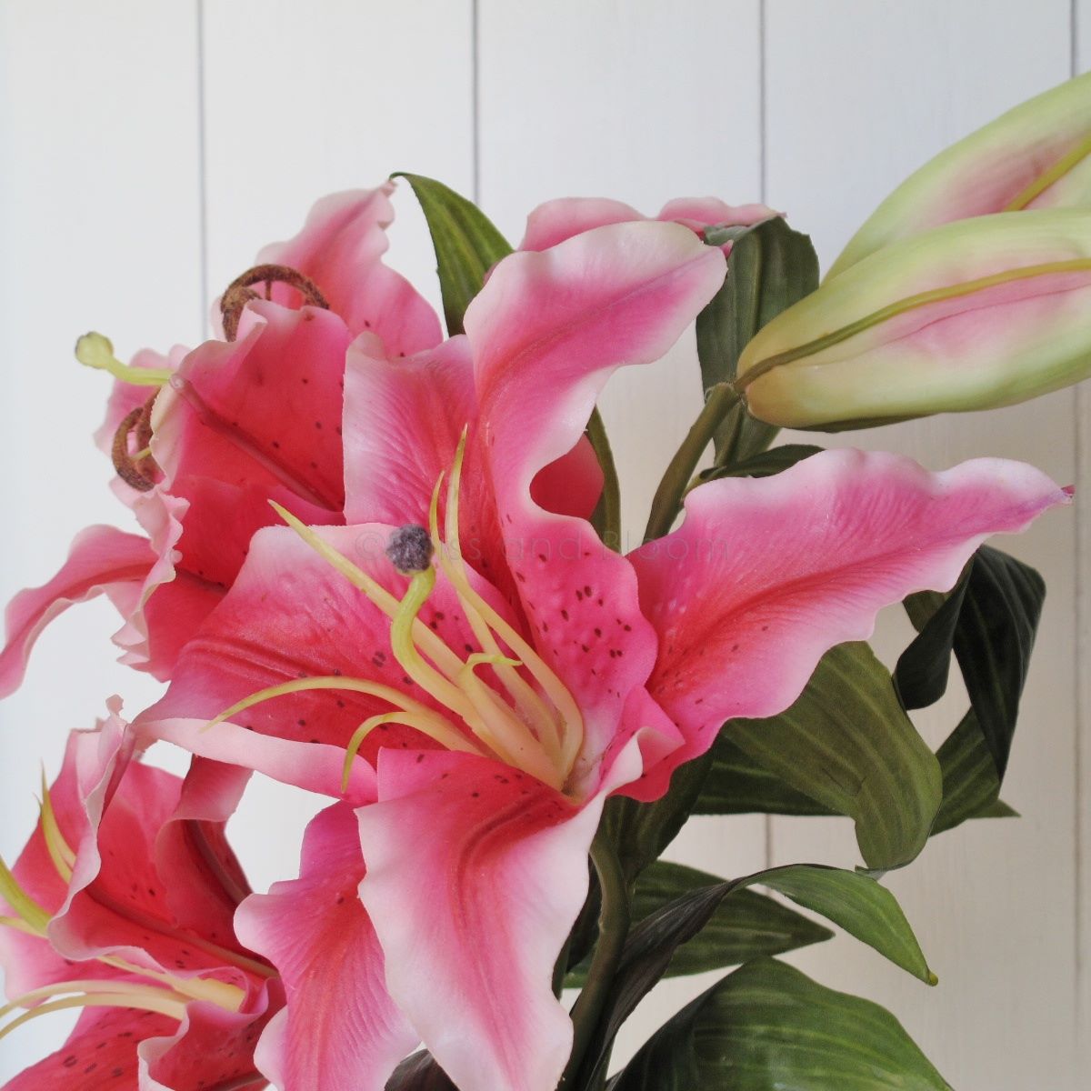 Very large pink lily stem x 1 | Bliss and Bloom