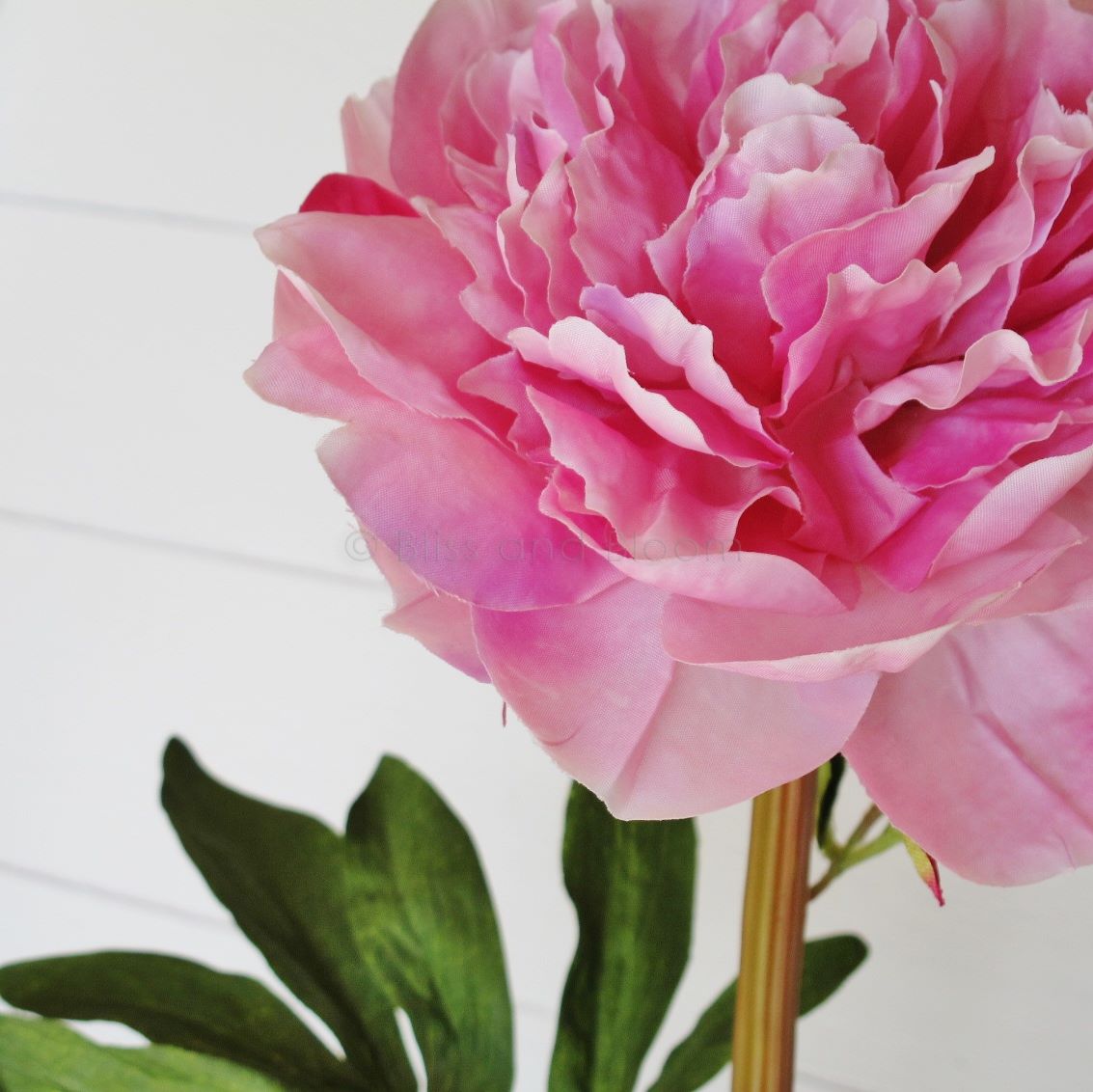 Pink large head peony stem x1 | Bliss and Bloom Ltd