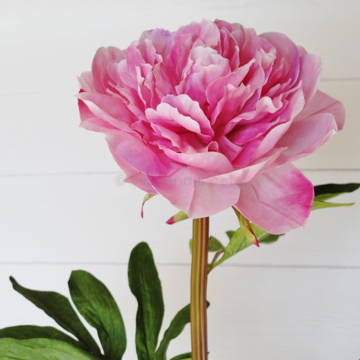 Pink large head peony stem x1 | Bliss and Bloom Ltd