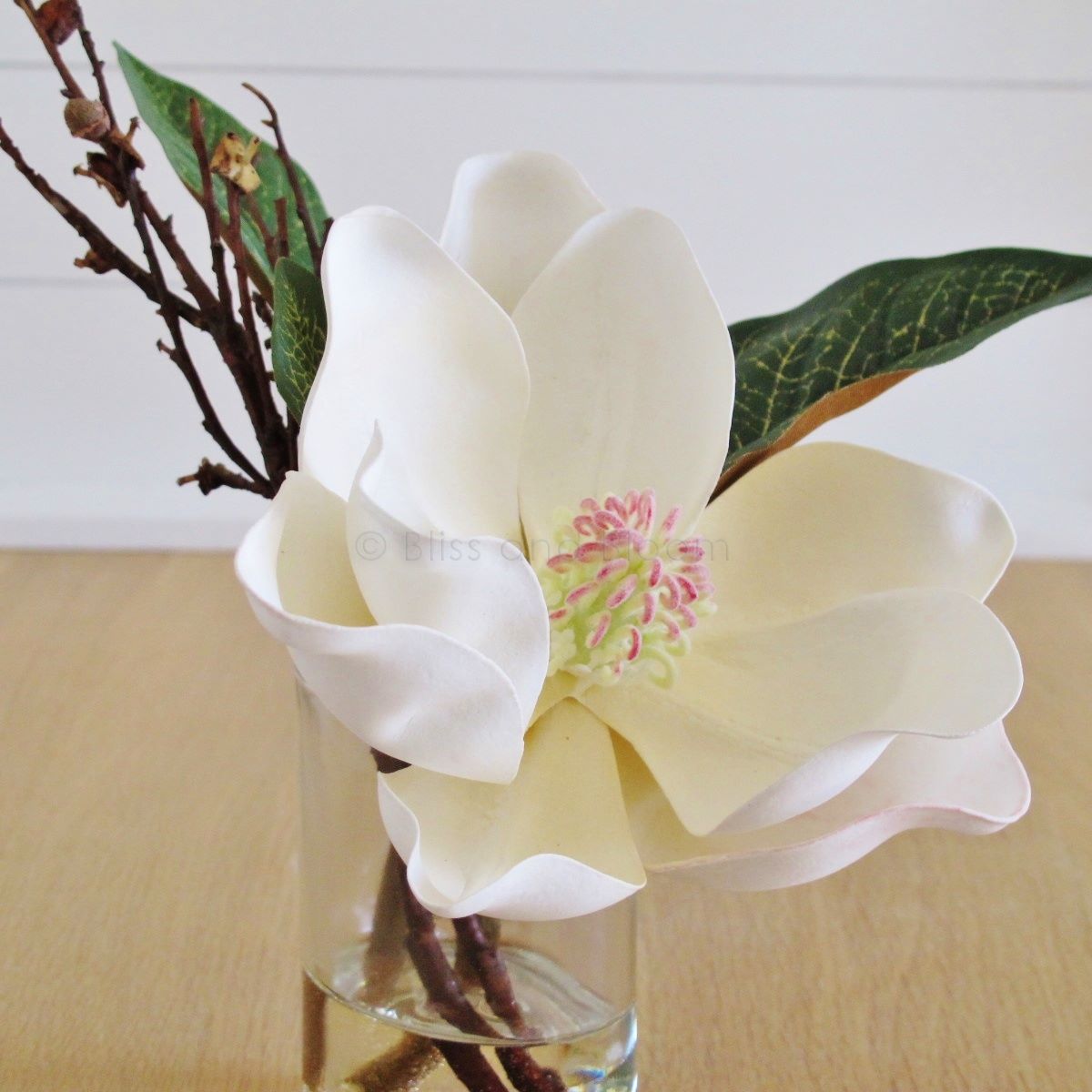 Beautiful cream magnolia | Bliss and Bloom