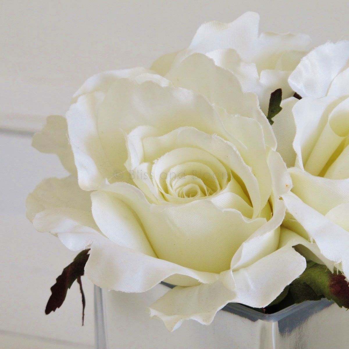 Cream roses in a mirror cube | Bliss and Bloom