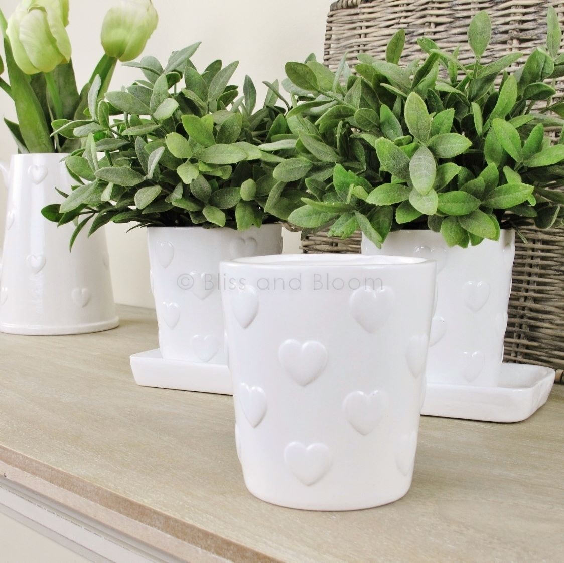 Set of 3 heart pots on tray | Bliss and Bloom