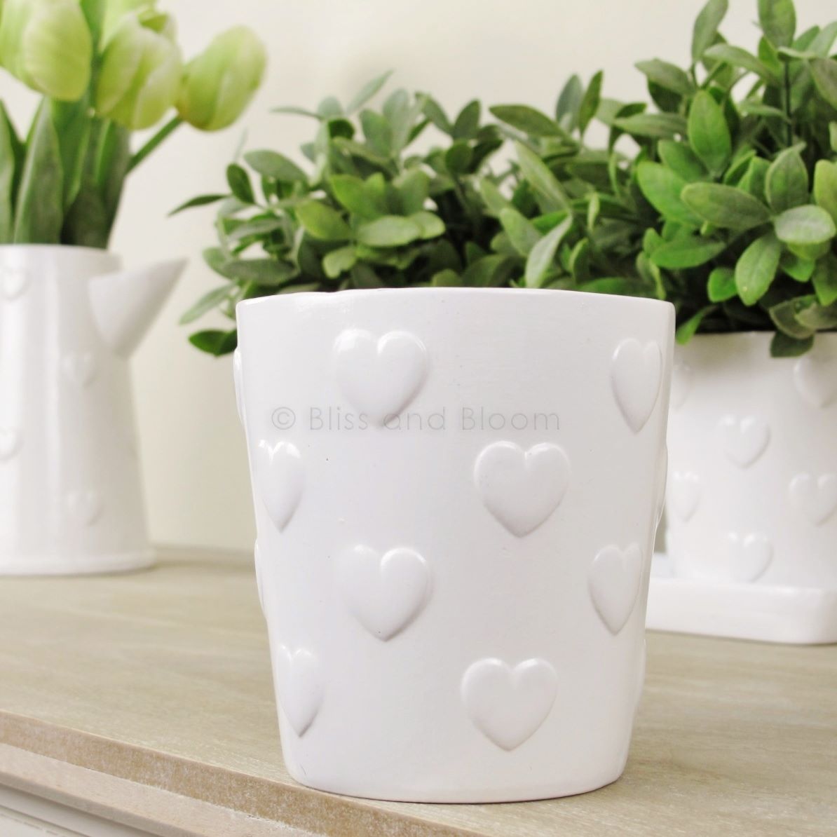 Set of 3 heart pots on tray | Bliss and Bloom